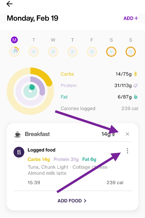 Logging food with Lumen - the food log